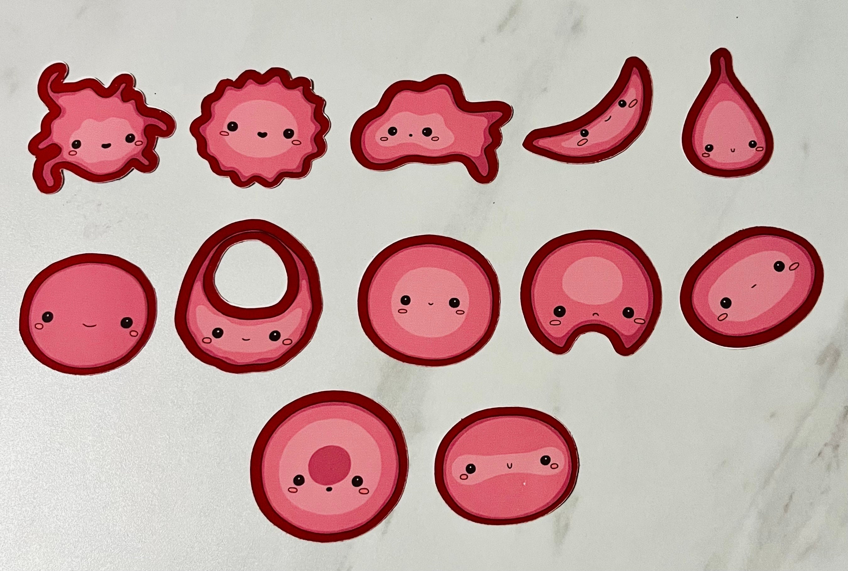 Hematology Red Blood Cells Stickers, Kawaii Sticker, Medical Laboratory ...