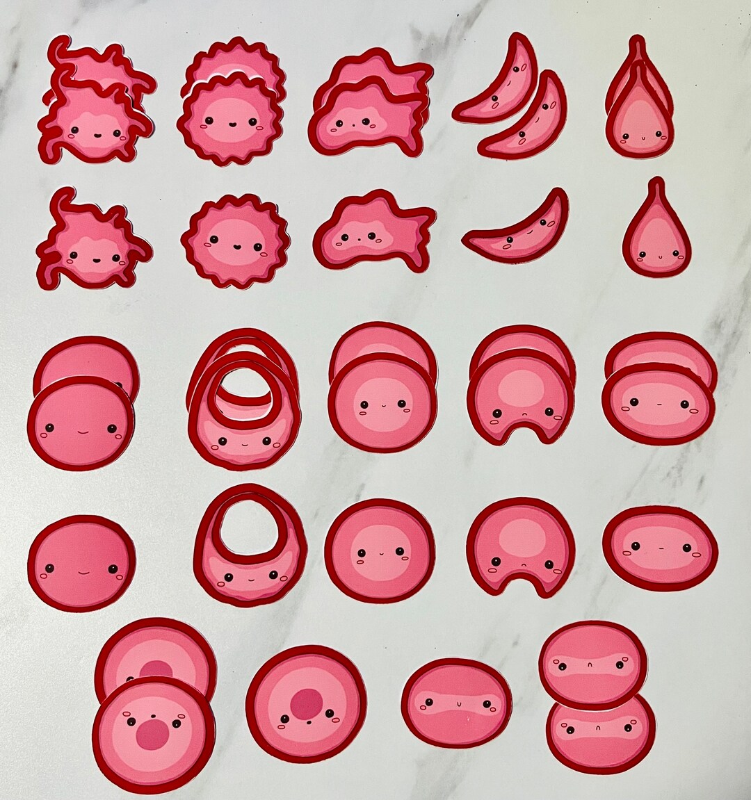 Hematology Red Blood Cells Stickers, Kawaii Sticker, Medical Laboratory ...