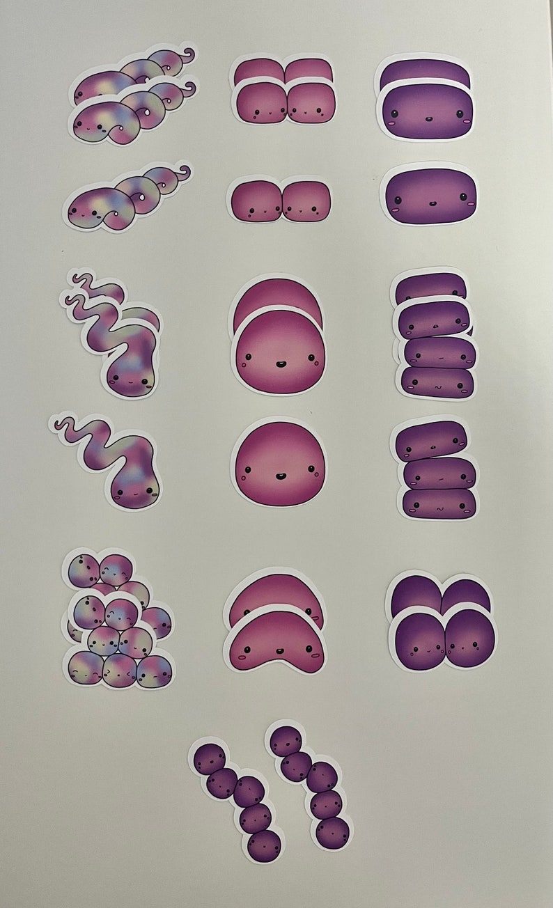 Microbiology Bacterial Stickers, Kawaii Sticker, Medical Laboratory ...