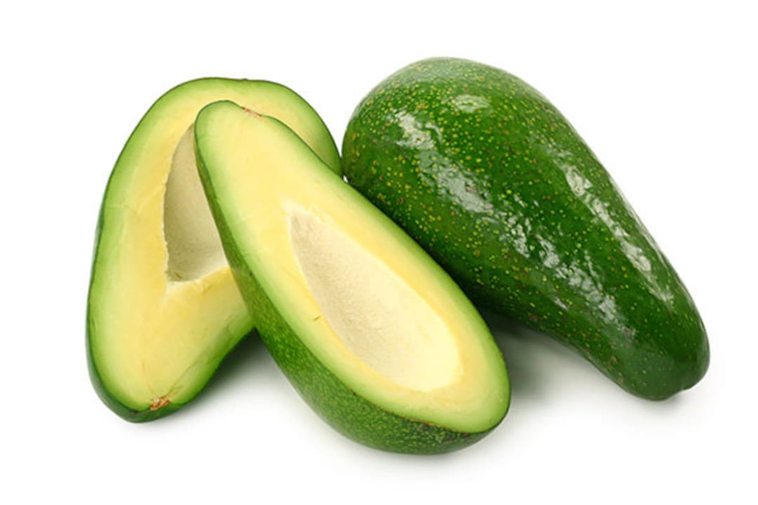 Fuerte Avocado Tree- 1 Feet Tall - Grafted Tree - Ship in Plastic Bag ...