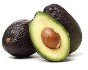 Hardee Avocado Tree- 2 to 3 Feet Tall - Grafted Tree - Ship in 3gal Pot ...
