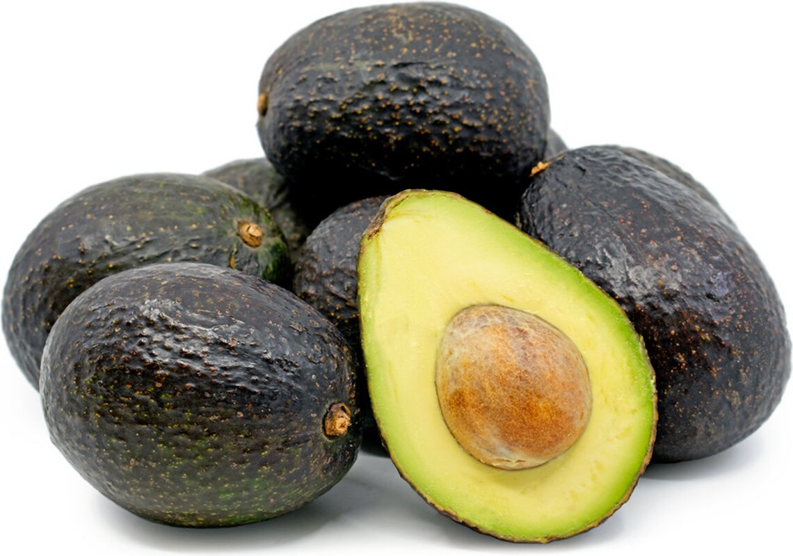 Hass Avocado Tree- 1 Feet Tall - Grafted Tree - Ship in Plastic Bag - Etsy