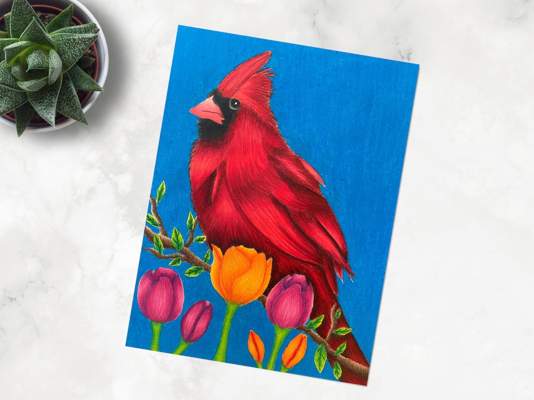 Cardinal Wall Art, Cardinal Drawing, Cardinal Print, Bird Artwork, Wall ...