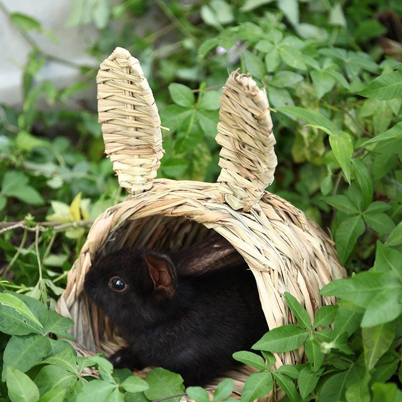 Rabbit Tunnel - Etsy