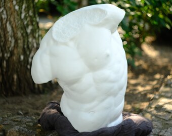 Male Torso Statue - Etsy