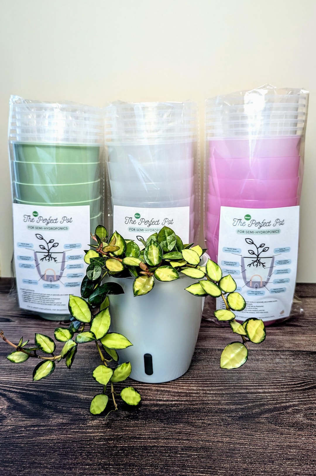 The Perfect Pot for Semi-hydroponics - Self Watering Pot With Clear ...