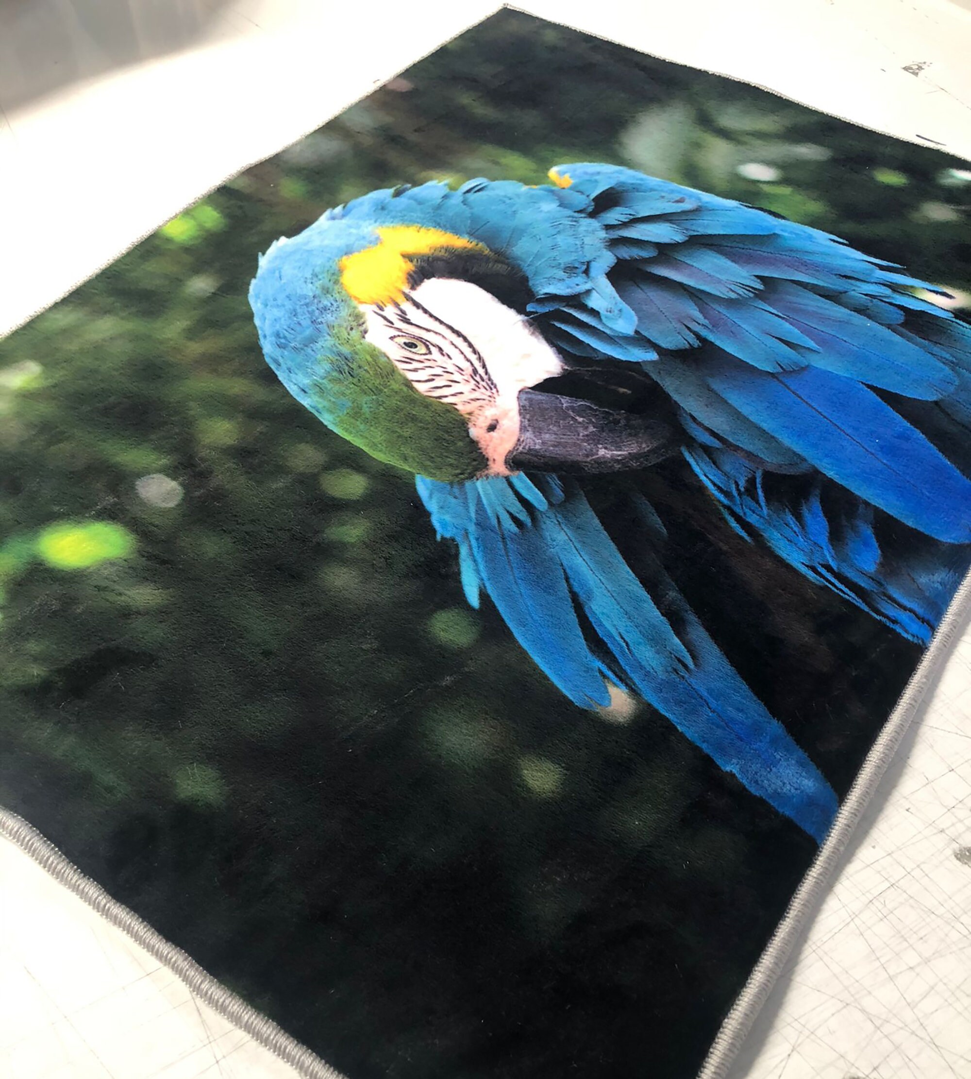 Colorful Parrot Rug Welcome Doormat Parrot Lover Rug Parrot | Etsy