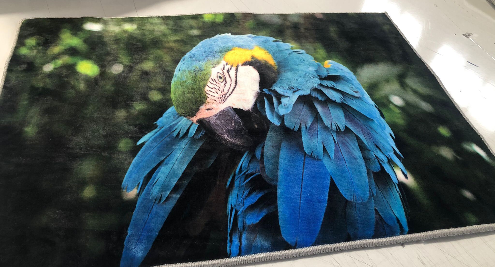 Colorful Parrot Rug Welcome Doormat Parrot Lover Rug Parrot | Etsy