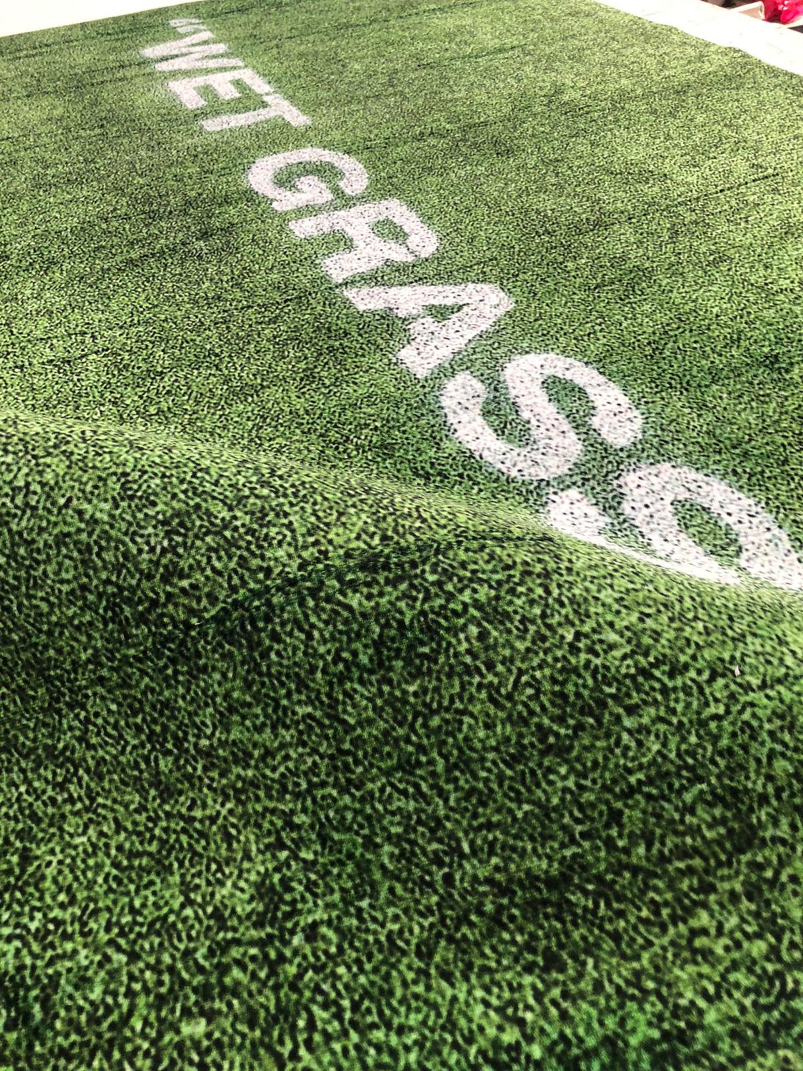 Wet Grass Patterned Rug Wet Grass Rug Wet Grass 3D - Etsy