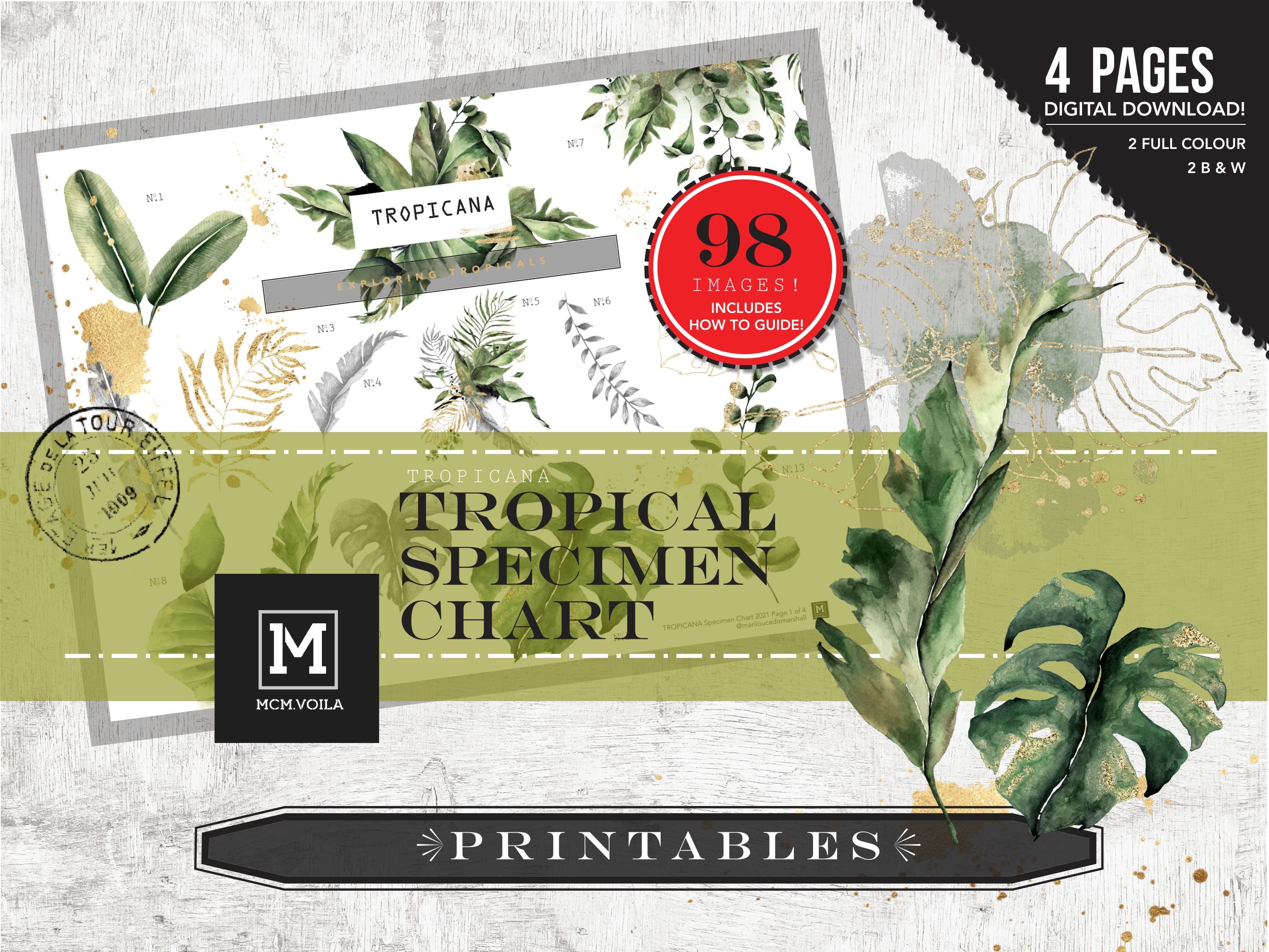 TROPICANA Tropical Specimen Chart PRINTABLES, Digital Download ...