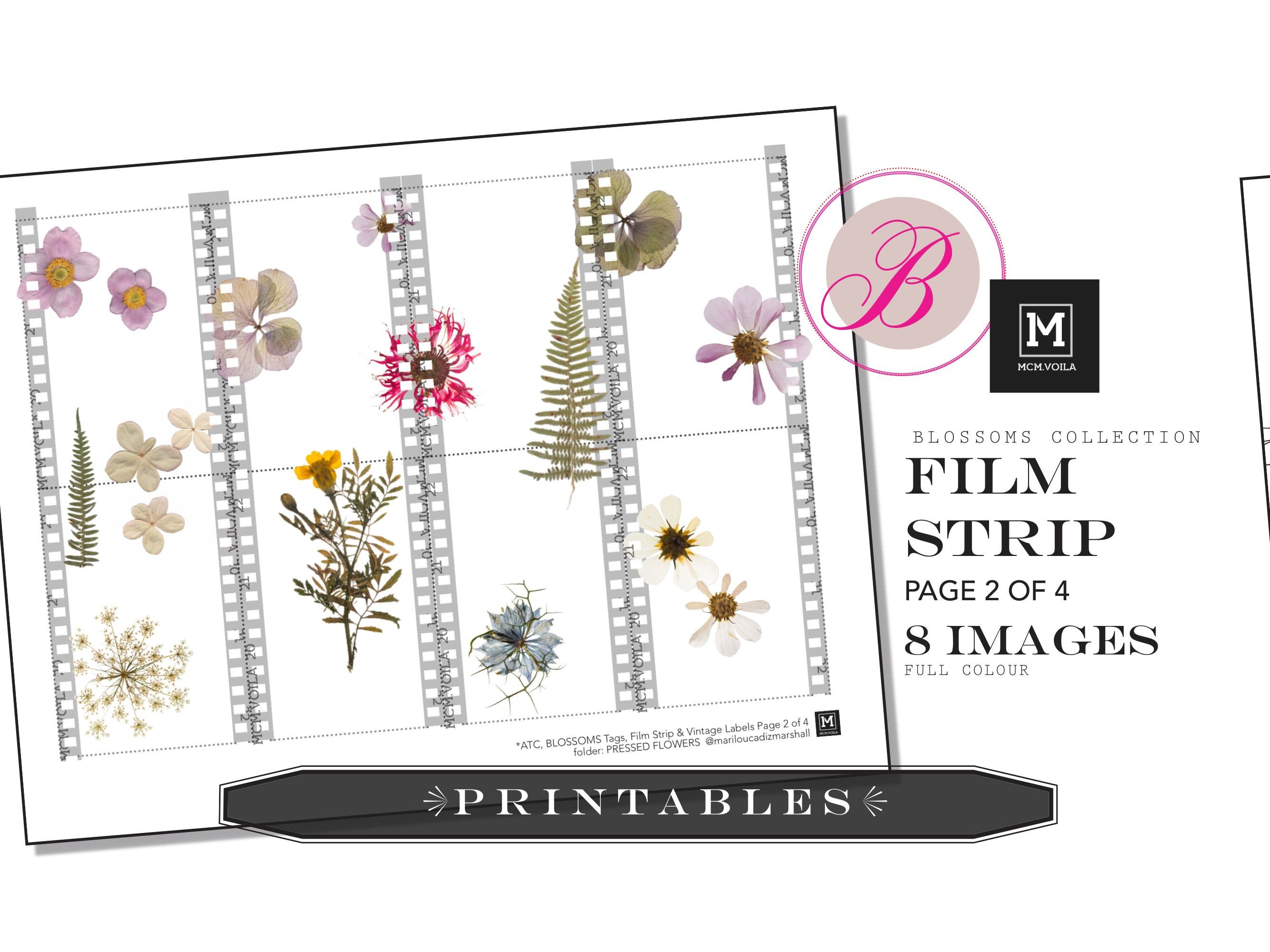 PRINTABLES, Digital Downloads, Faux Filmstrip, DIY Stickers, Art ...