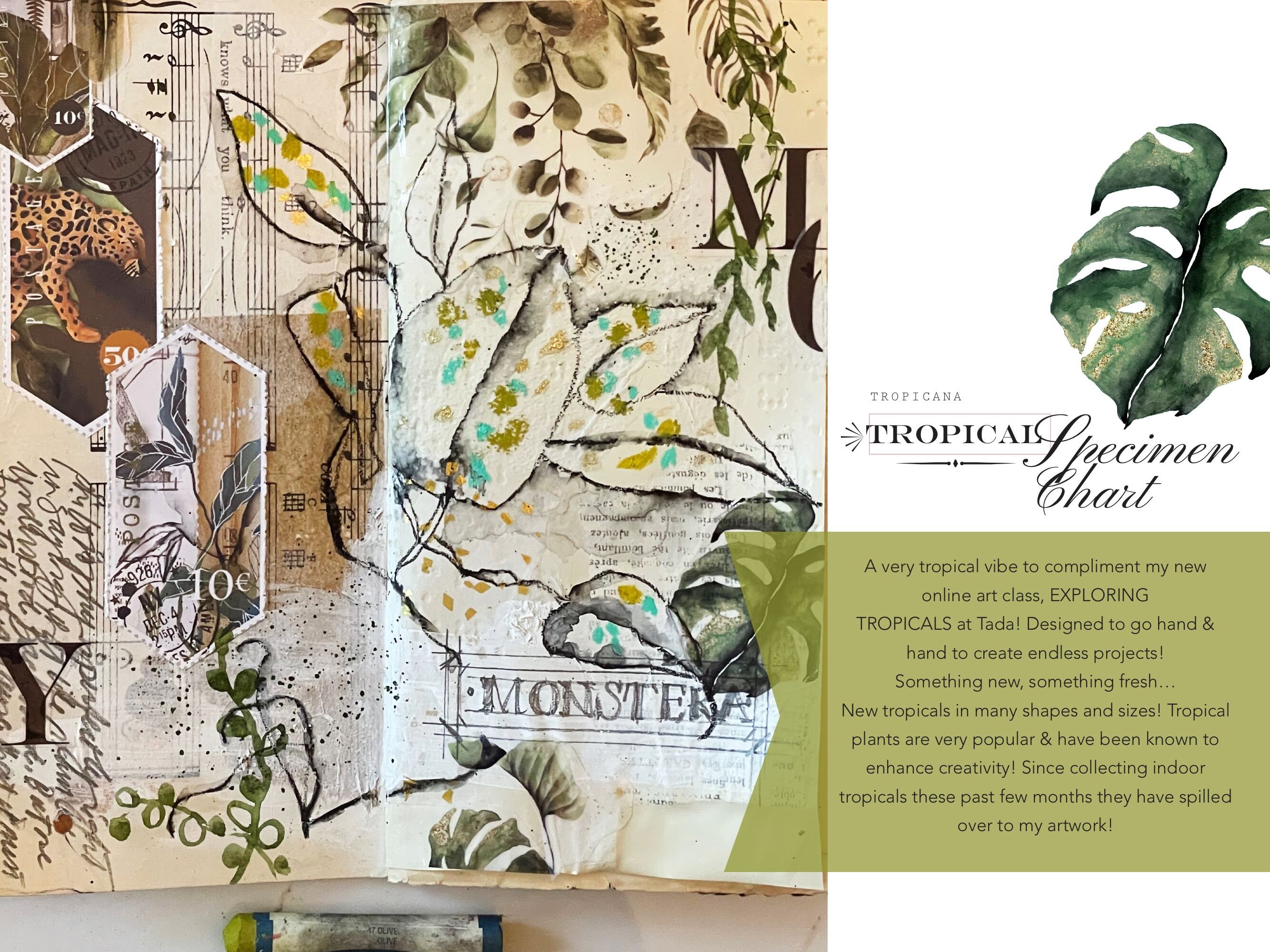 TROPICANA Tropical Specimen Chart PRINTABLES, Digital Download ...