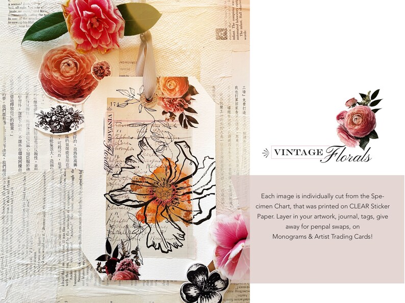 PRINTABLES, Digital Downloads, Spring Blossoms, Specimen Chart, DIY ...