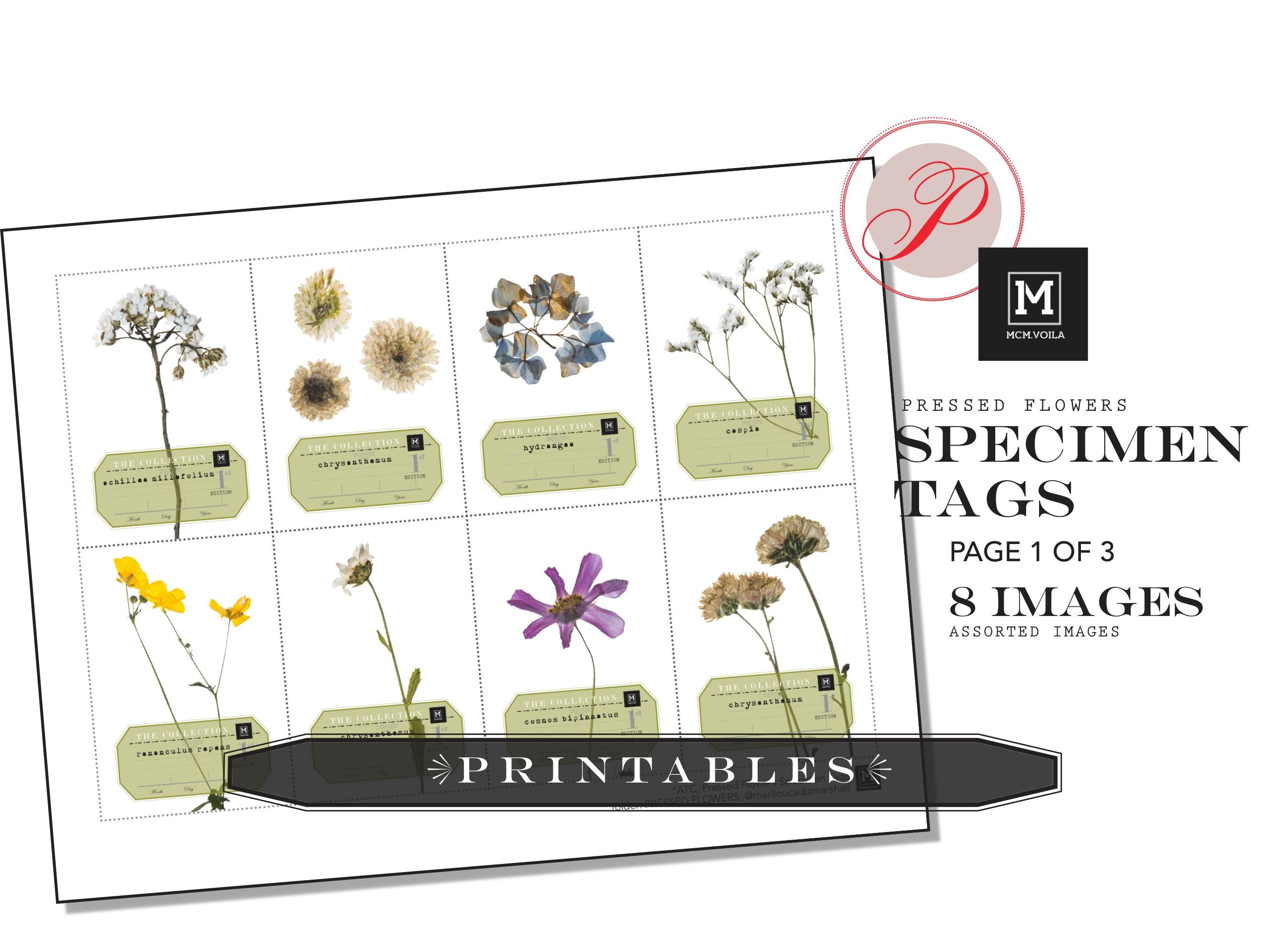 PRINTABLES, Digital Downloads, Specimen Tags, Pressed Flowers, DIY ...