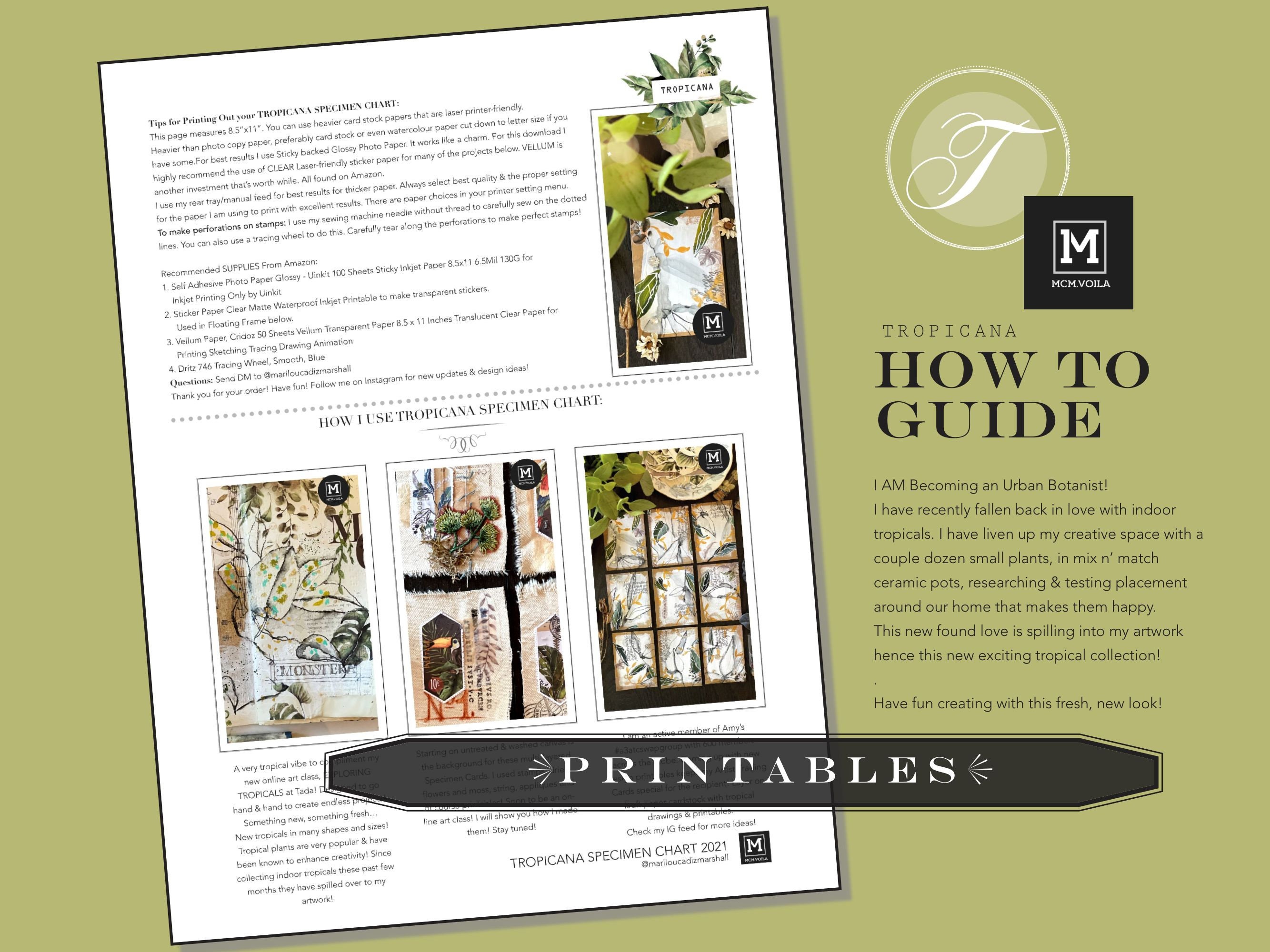 TROPICANA Tropical Specimen Chart PRINTABLES, Digital Download ...