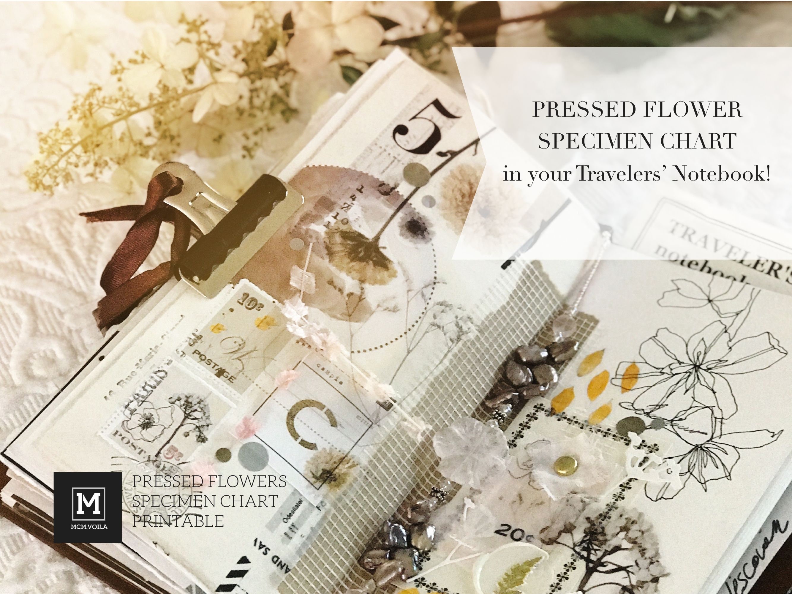 Presssed Flower Specimen Chart PRINTABLES, Digital Downloads, Faux ...