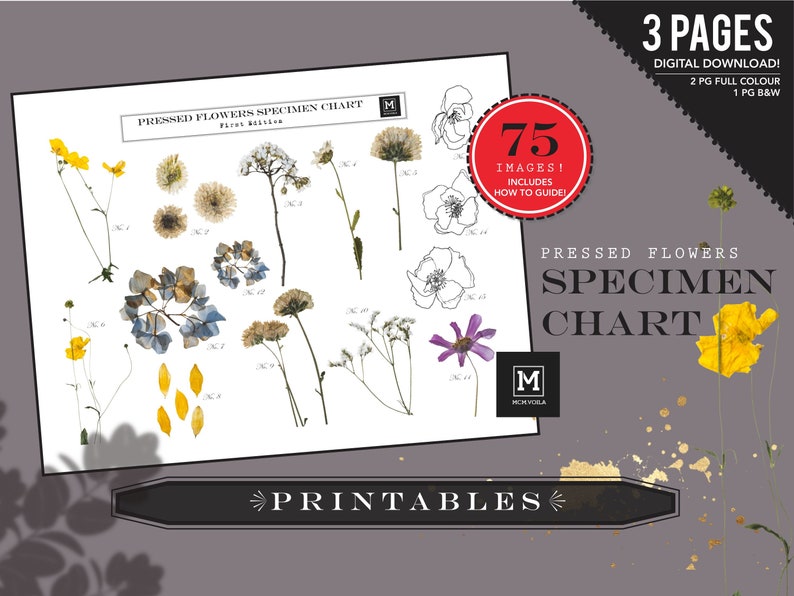 Presssed Flower Specimen Chart PRINTABLES, Digital Downloads, Faux ...