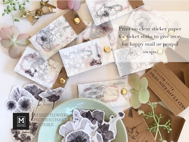 Presssed Flower Specimen Chart PRINTABLES, Digital Downloads, Faux ...