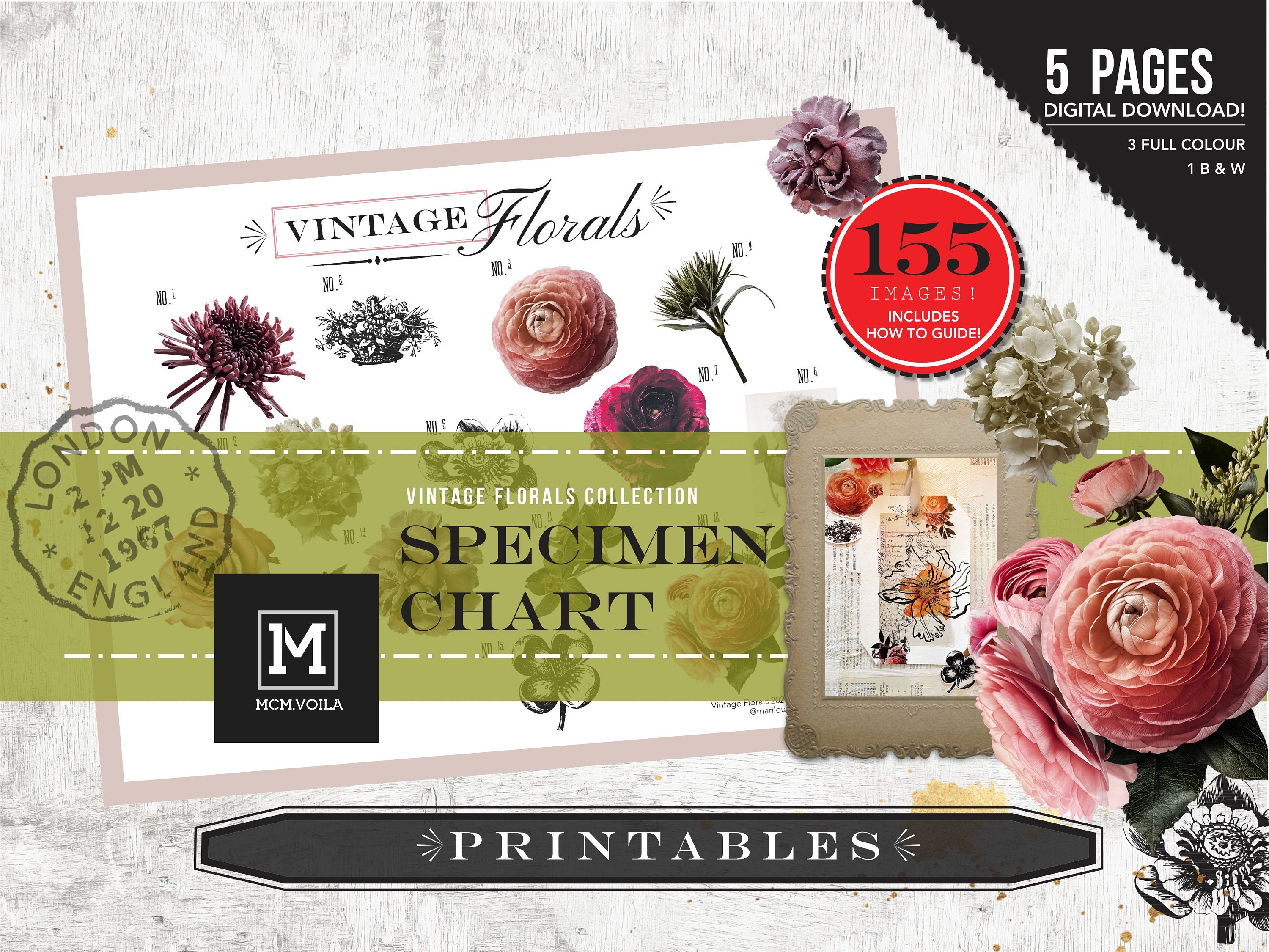 PRINTABLES, Digital Downloads, Spring Blossoms, Specimen Chart, DIY ...