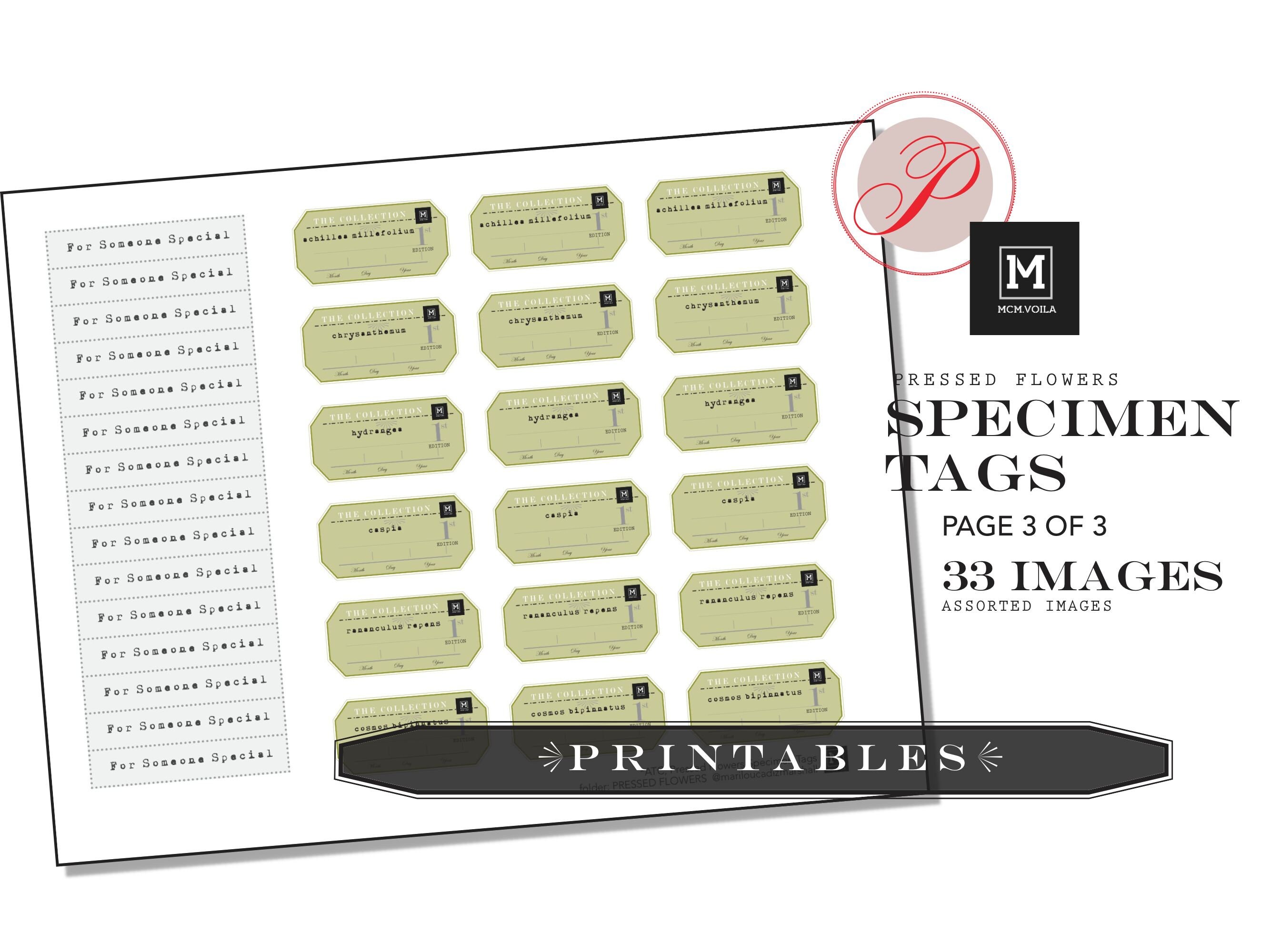 PRINTABLES, Digital Downloads, Specimen Tags, Pressed Flowers, DIY ...