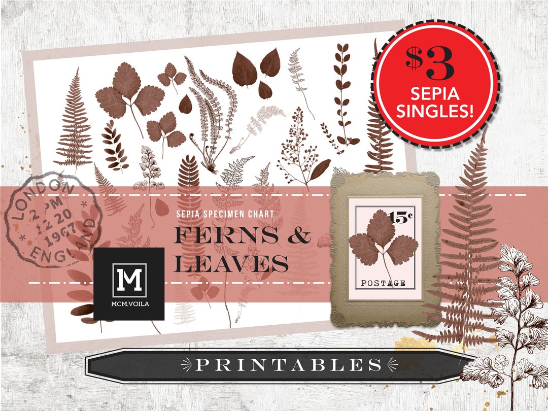 PRINTABLES, Digital Downloads, Ferns Stickers, Fern Printable, DIY ...