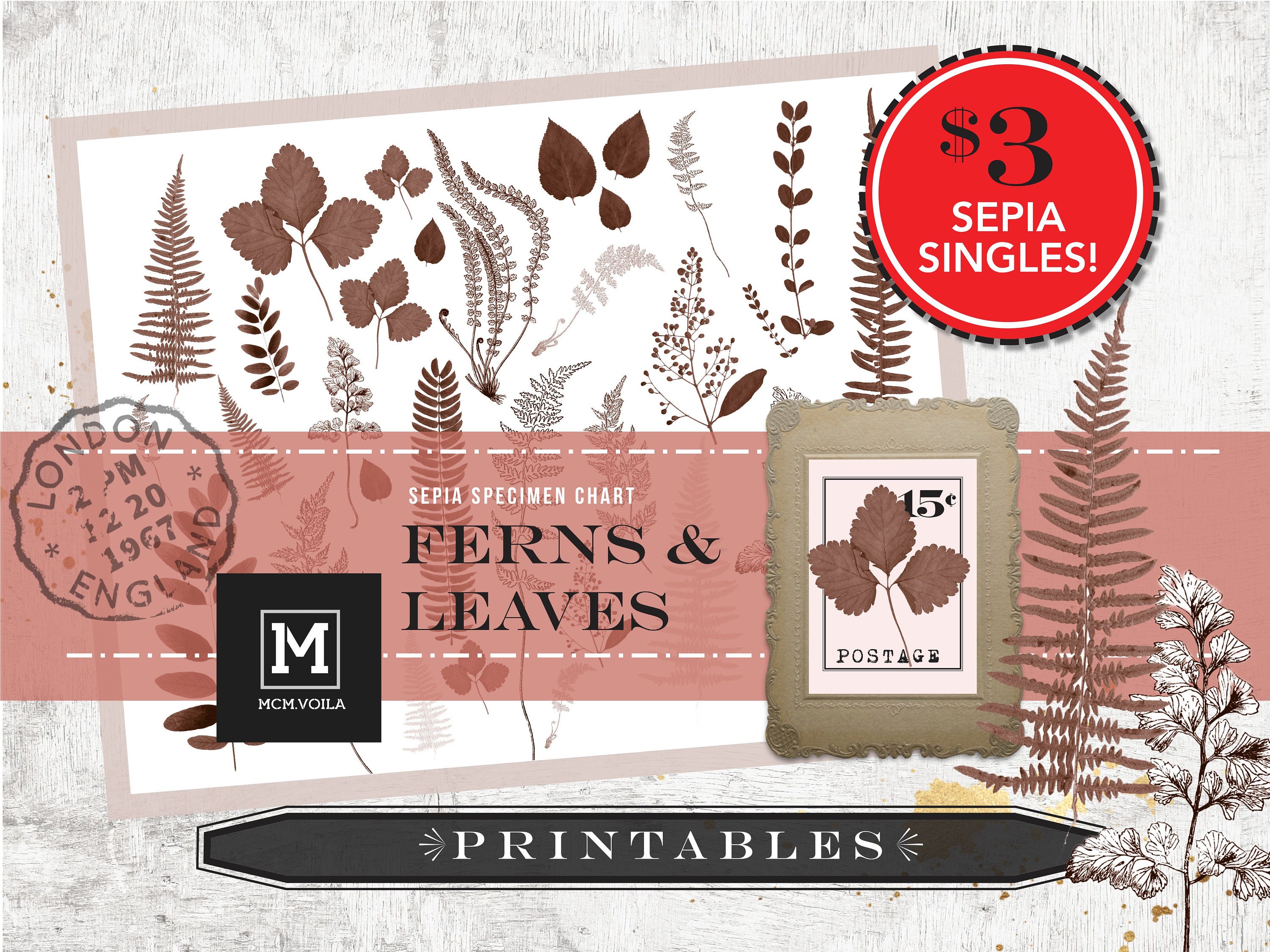 PRINTABLES, Digital Downloads, Ferns Stickers, Fern Printable, DIY ...