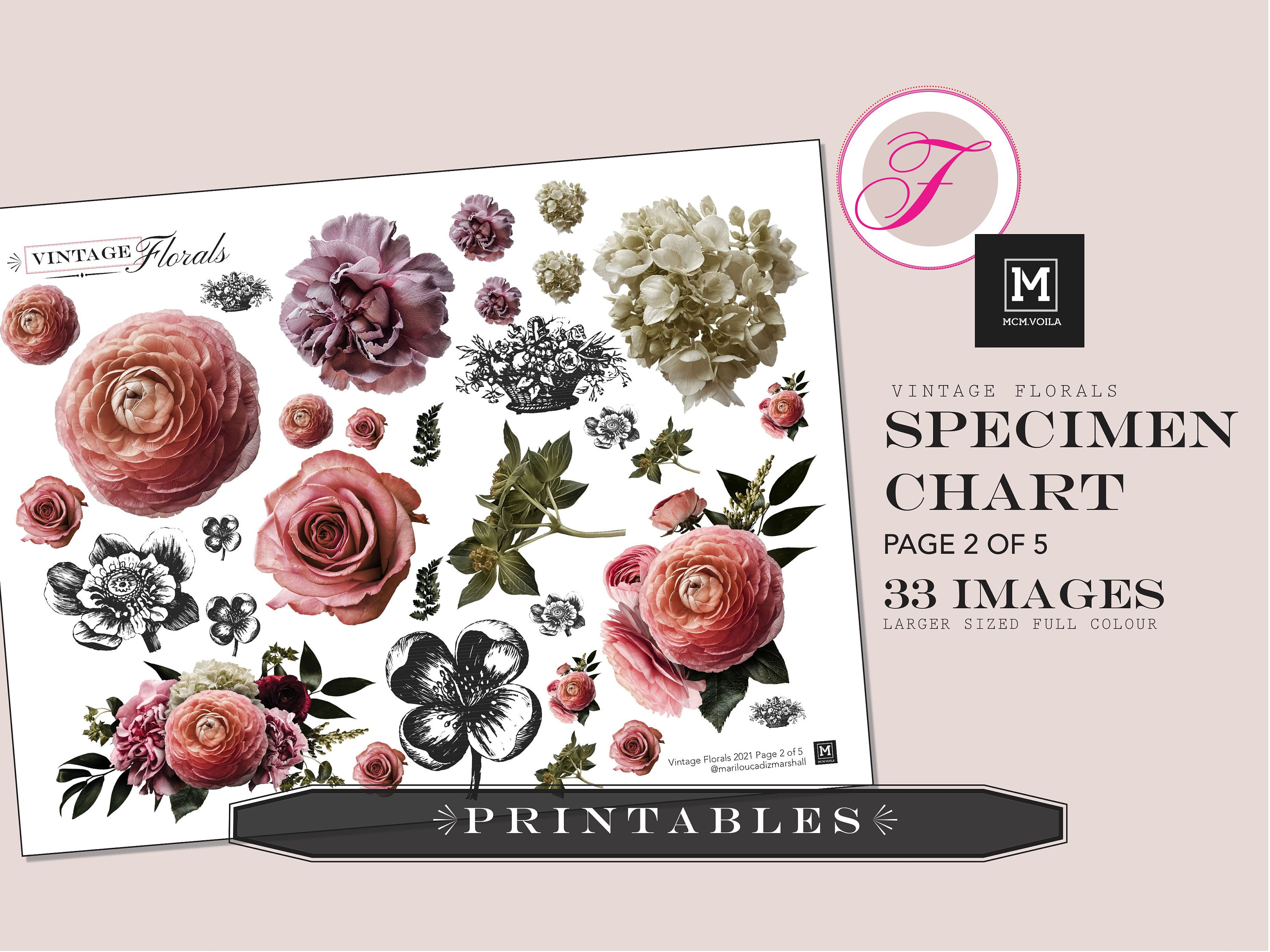 PRINTABLES, Digital Downloads, Spring Blossoms, Specimen Chart, DIY ...