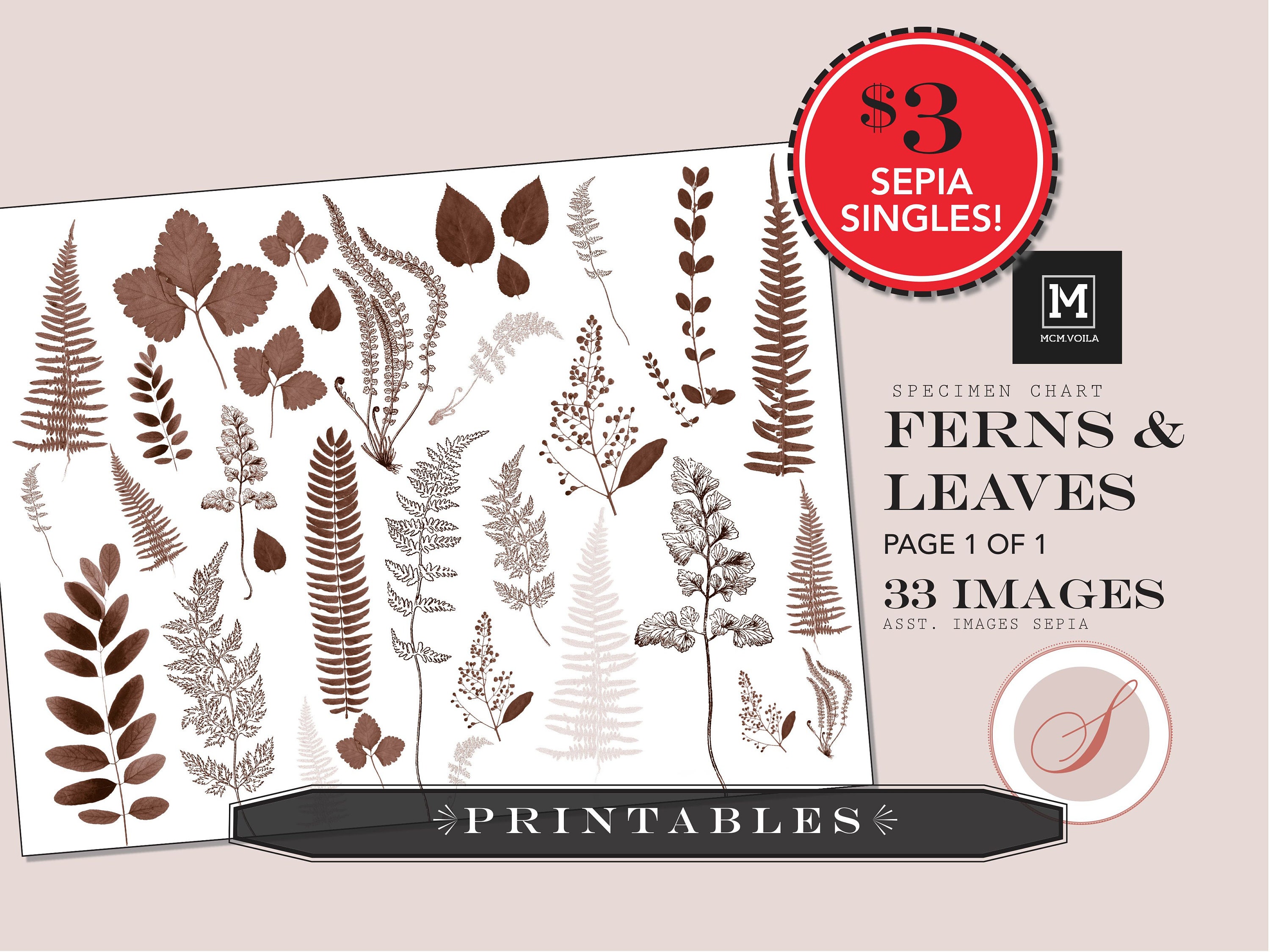PRINTABLES, Digital Downloads, Ferns Stickers, Fern Printable, DIY ...