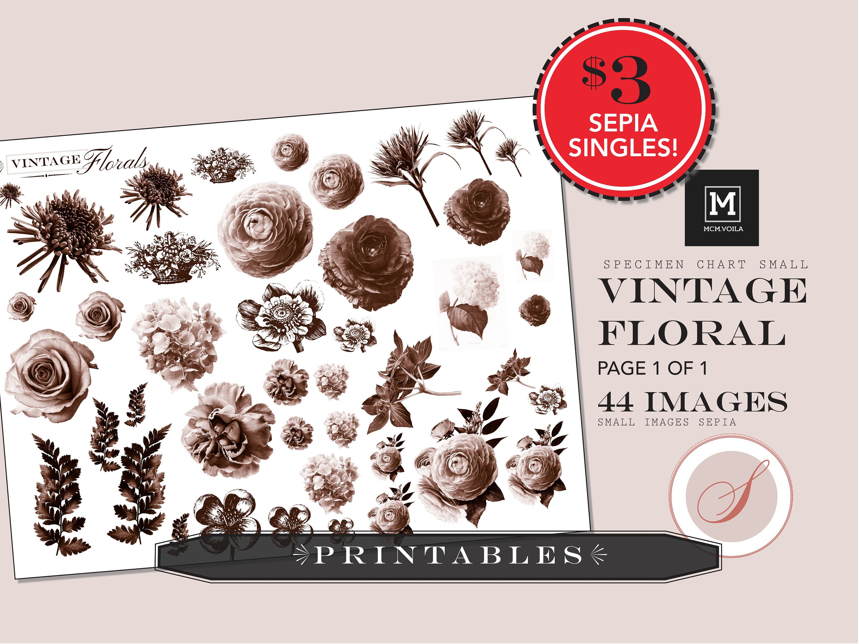 PRINTABLES, Digital Downloads, Spring Blossoms, Specimen Chart, DIY ...