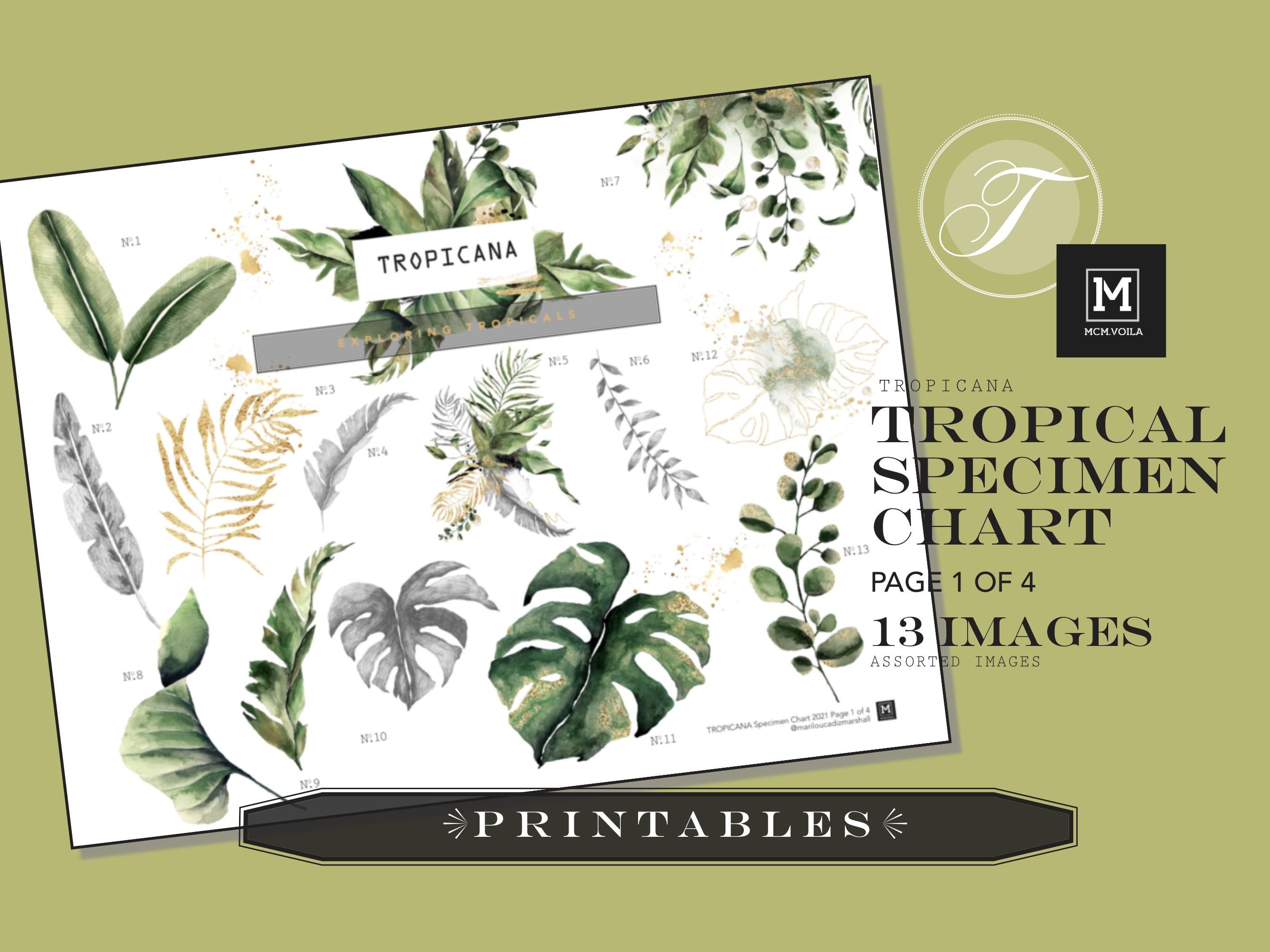 TROPICANA Tropical Specimen Chart PRINTABLES Digital - Etsy