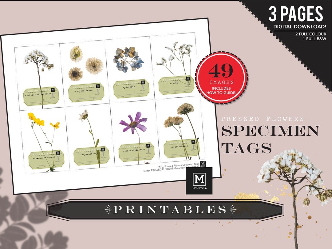 PRINTABLES, Digital Downloads, Specimen Tags, Pressed Flowers, DIY ...