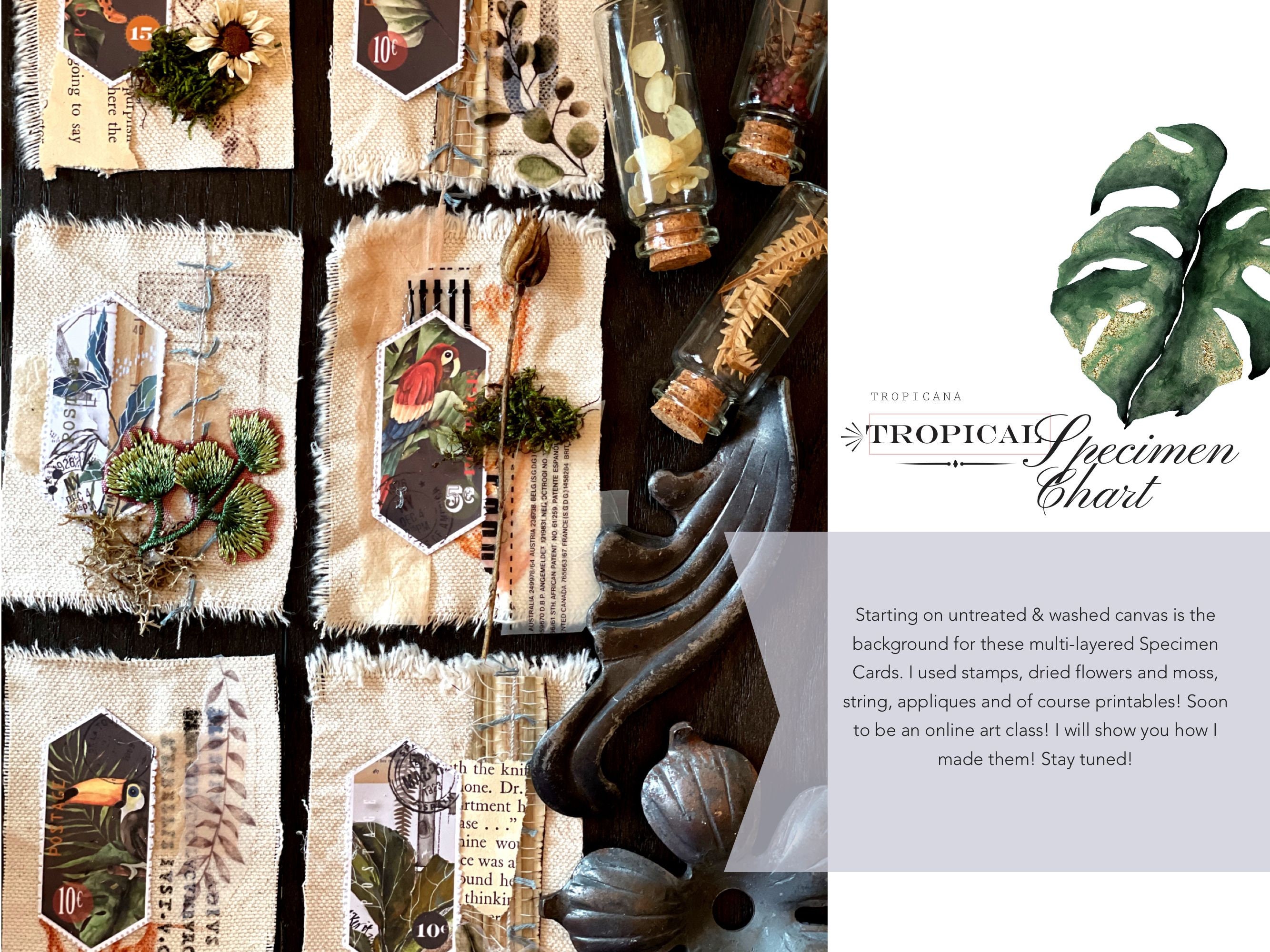 TROPICANA Tropical Specimen Chart PRINTABLES, Digital Download ...