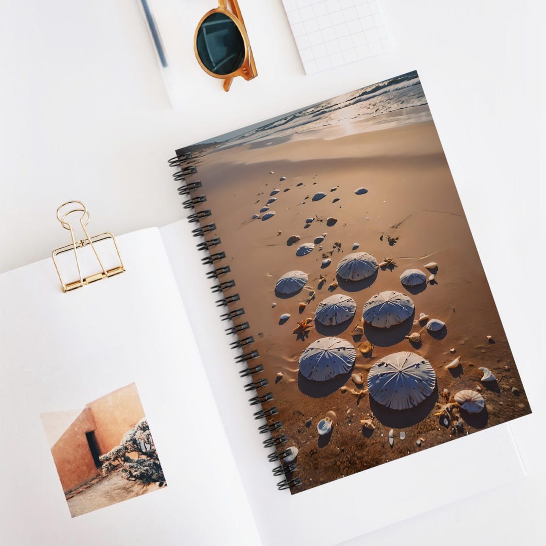 Costal Beach With Sand Dollar Trail Notebook Journal - Nautical ...