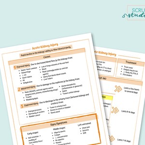 Acute Kidney Injury AKI Nursing Study Guide Digital - Etsy