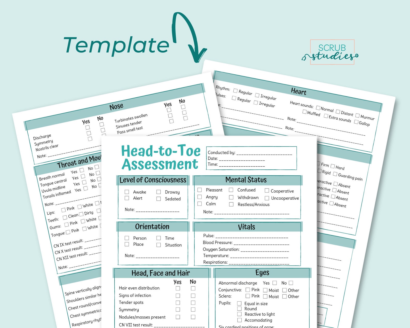 Head-to-toe Assessment Bundle | Head-to-toe Guide | Head-to-toe ...