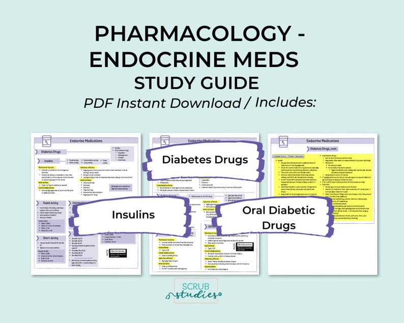 Pharmacology - Endocrine Medications | Nursing Student Study Guide ...