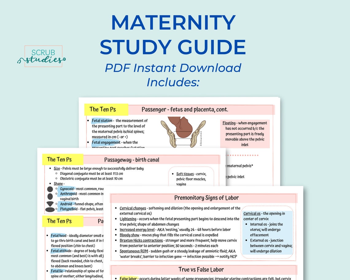 OB & Maternity Study Guide Nursing Student Study Guide - Etsy