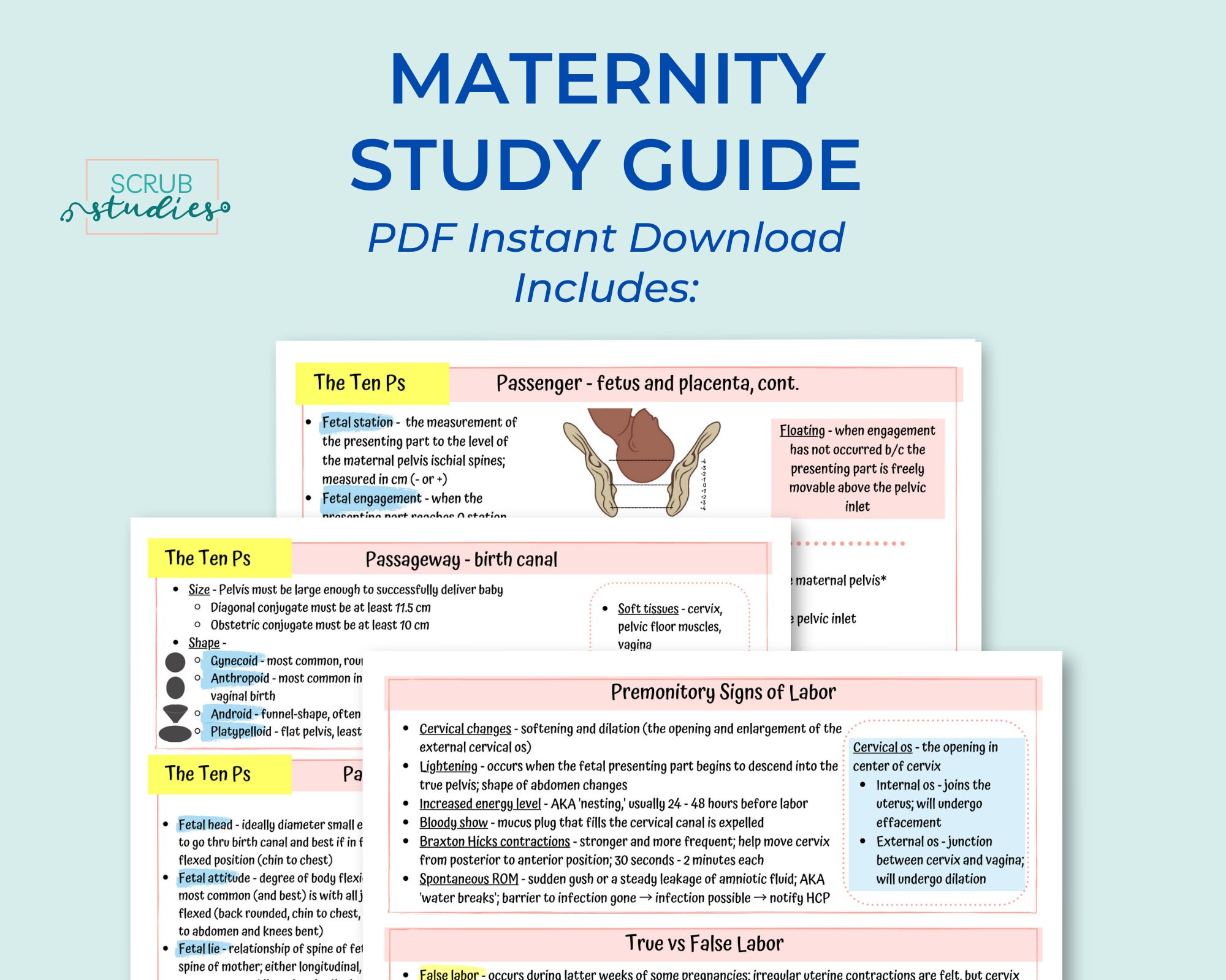 OB & Maternity Study Guide Nursing Student Study Guide - Etsy