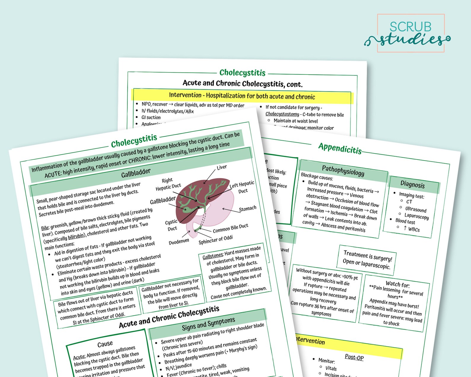 Cholecystitis and Appendicitis Study Guide Nursing Study - Etsy
