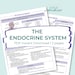 Endocrine Bundle Nursing Student Study Guide Digital Download Thyroid ...