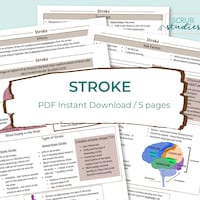 Stroke Scale, Stroke Assessment Tool, Stroke Assessment for Neuro, ER ...
