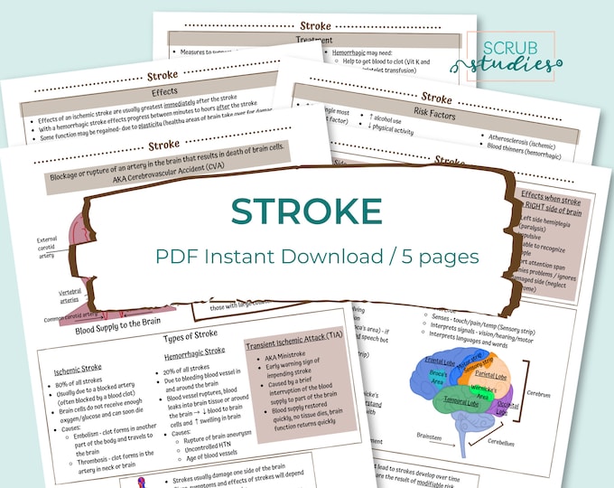 Stroke One-page Outline / Concept Map - Etsy