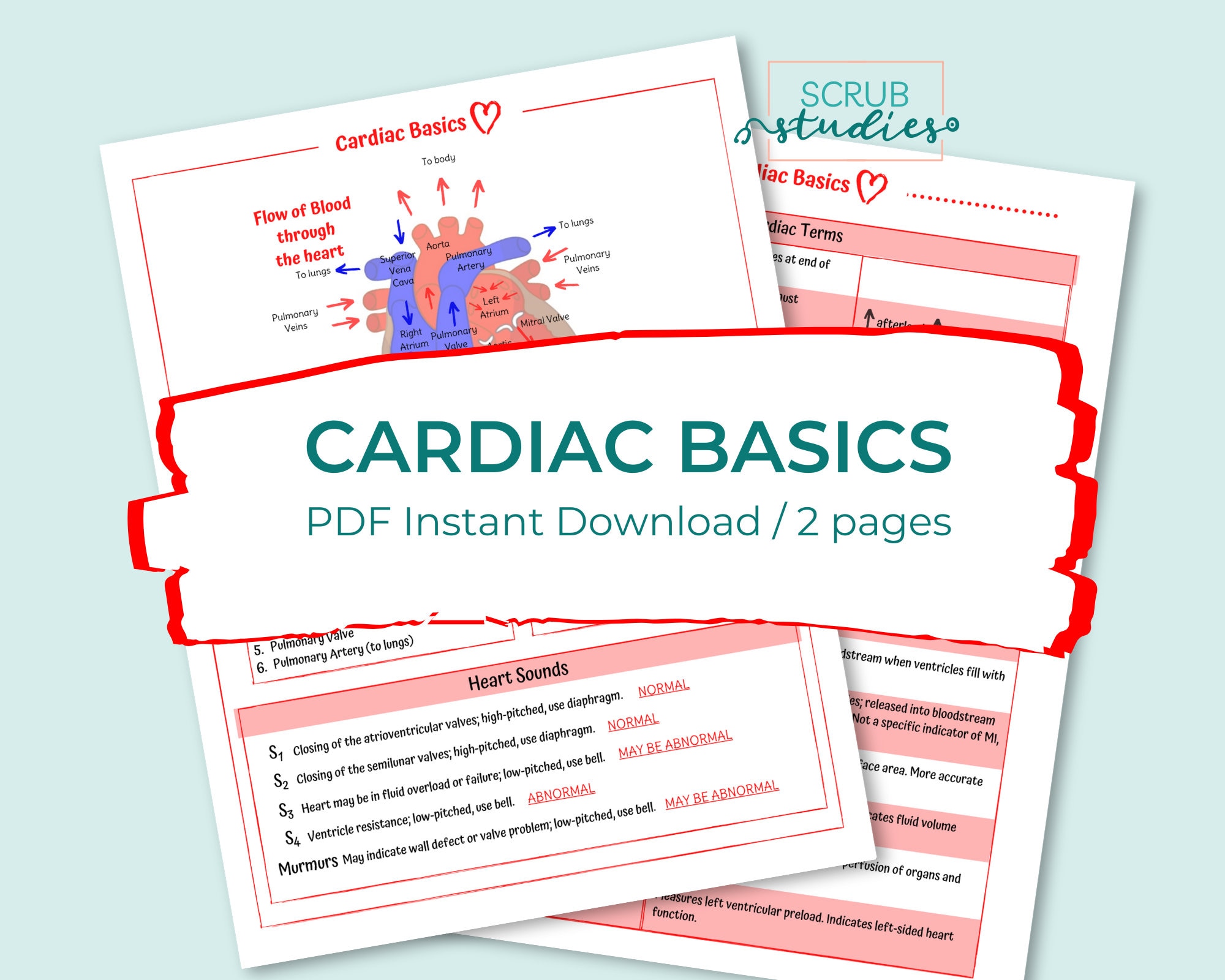 Cardiac Basics | Nursing Study Guides | Digital Download | Cardiac ...