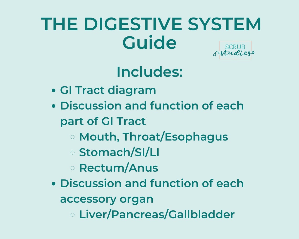 The Digestive System Study Guide | GI Tract | Gastrointestinal ...
