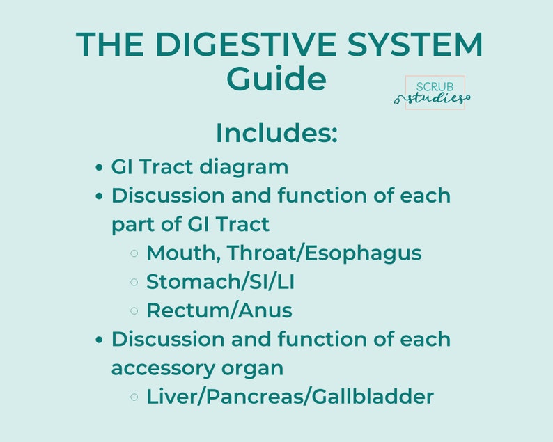 The Digestive System Study Guide | GI Tract | Gastrointestinal ...
