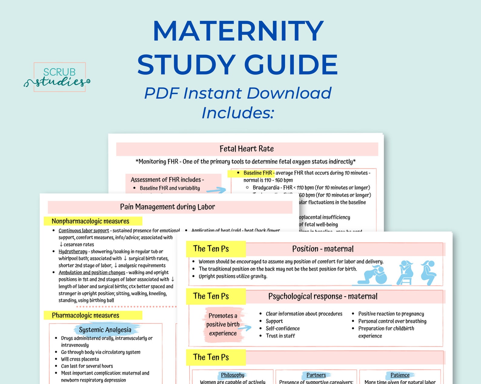 OB & Maternity Study Guide Nursing Student Study Guide - Etsy