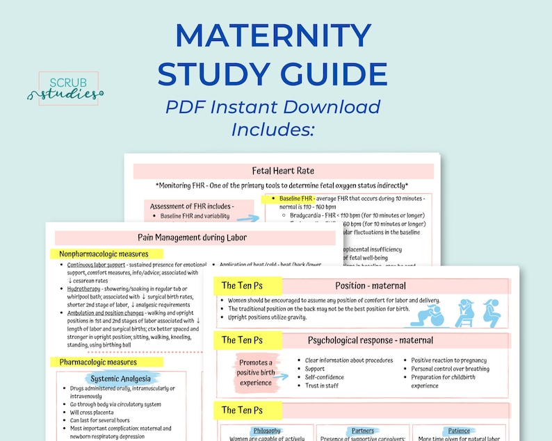 OB & Maternity Study Guide Nursing Student Study Guide - Etsy