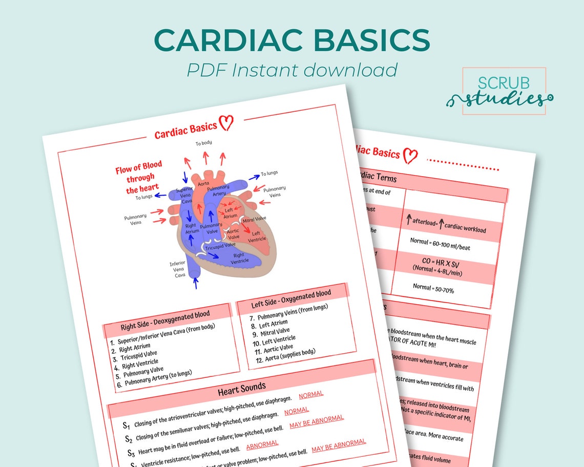 Cardiac Bundle Study Guide Nursing Study Guide Heart - Etsy