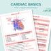 Cardiac Bundle Study Guide Nursing Study Guide Heart - Etsy