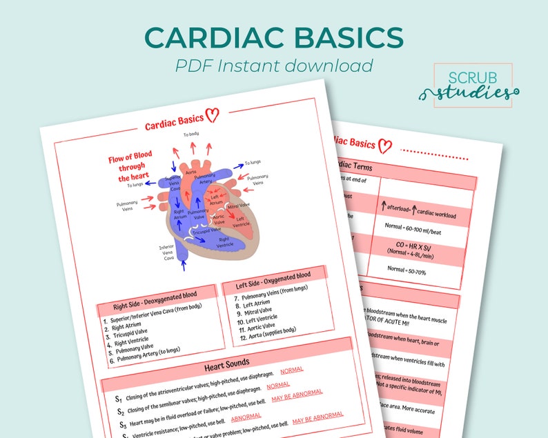 Cardiac Bundle Study Guide Nursing Study Guide Heart - Etsy